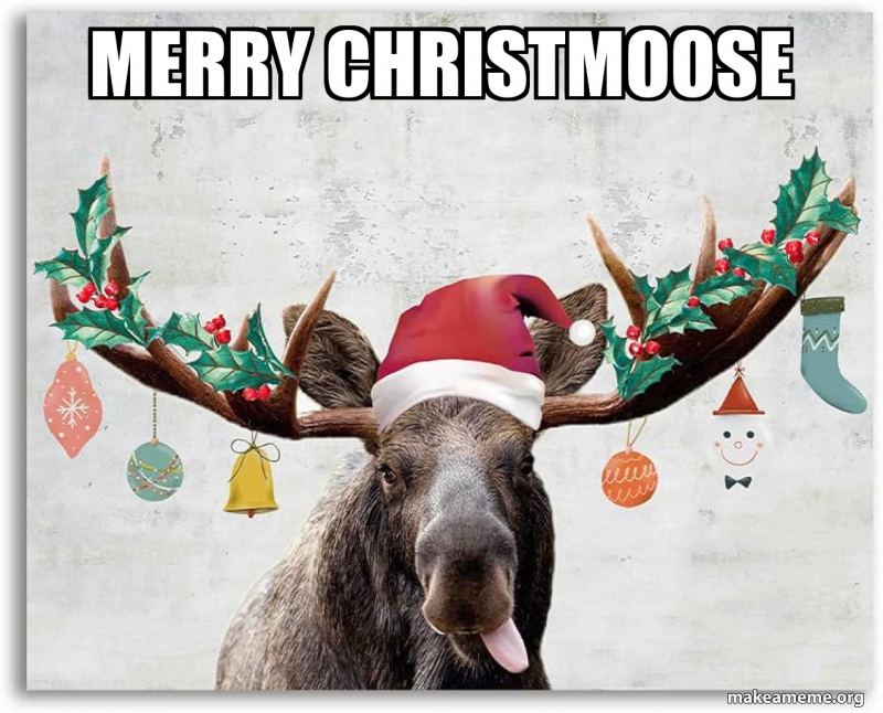 merry christmoose Meme Generator