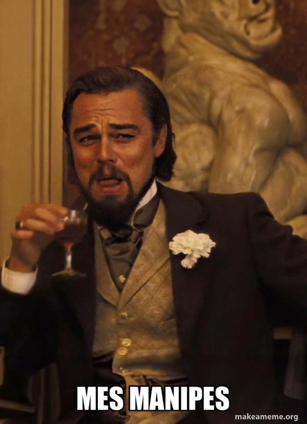 Mes Manipes - Leonardo DiCaprio Laughing Django Meme Generator