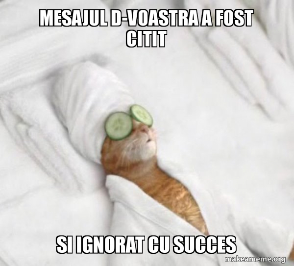 Mesajul d-voastra a fost citit si ignorat cu succes - Pampered Cat Meme ...