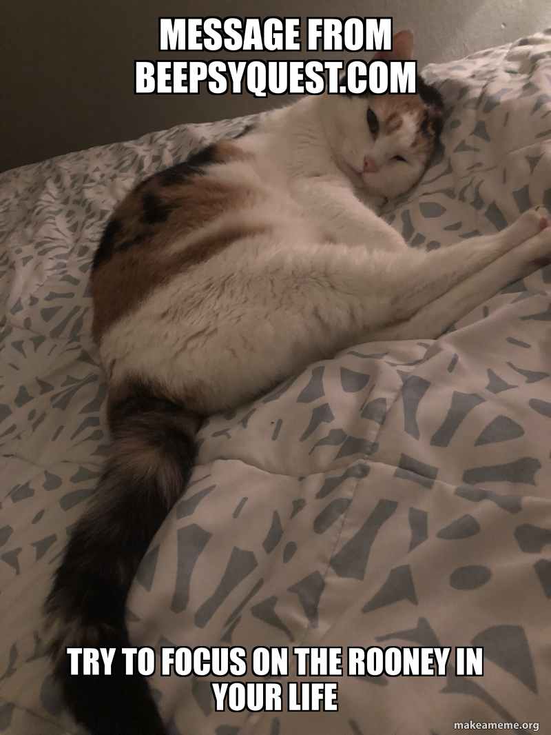 Message from beepsyquest.com Try to focus on the rooney in your life ...