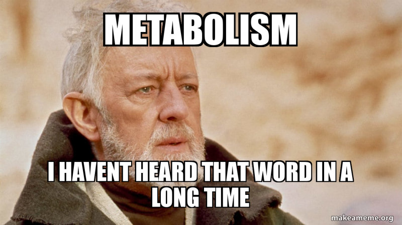 Metabolism I havent Heard that word in a long time Meme Generator
