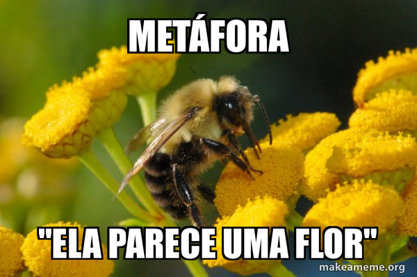 Metáfora "Ela parece uma Flor" - Good Guy Bee Meme Generator