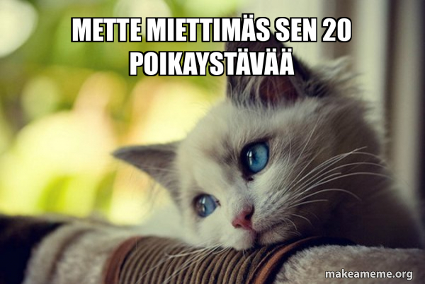 Mette miettimäs sen 20 poikaystävää - First World Cat Problems Meme ...