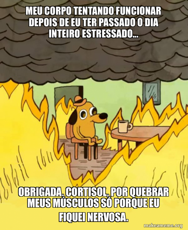 Meu corpo tentando funcionar depois de eu ter passado o dia inteiro ...