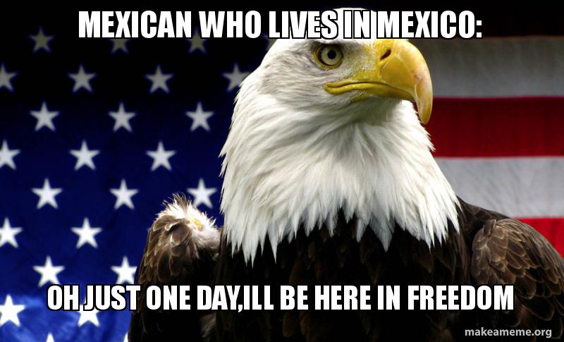 Mexican who lives in Mexico: Oh just one day,ill be here in freedom ...