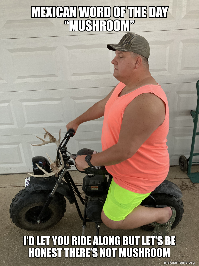 Mexican word of the day “mushroom” I’d let you ride along but let’s be ...