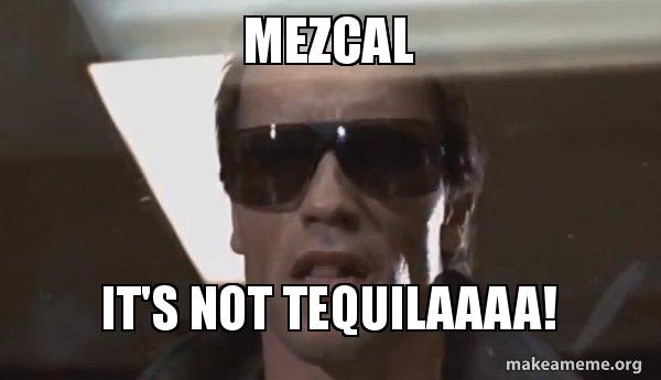 Mezcal IT's not tequilaaaa! - The Terminator Meme Generator