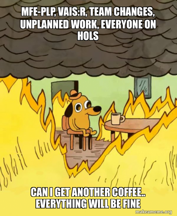 MFE-PLP, VAIS:R, Team changes, Unplanned work, everyone on hols Can I ...