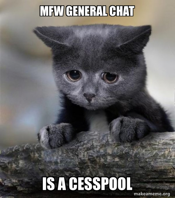 mfw general chat is a cesspool - Confession Cat Meme Generator
