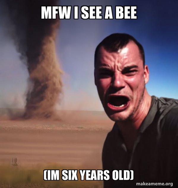 mfw i see a bee (im six years old) - Tornado Guy Meme Generator
