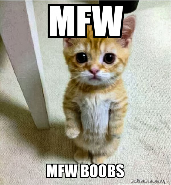 MFW MFW BOOBS - Cute Cat Standing Meme Generator
