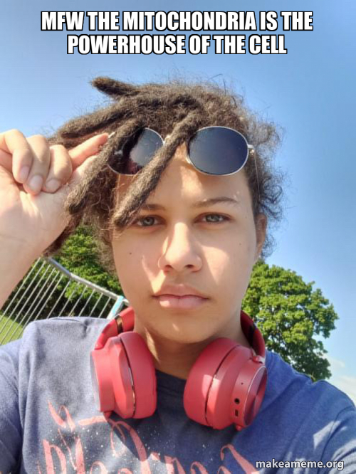 Mfw the mitochondria is the powerhouse of the cell Meme Generator