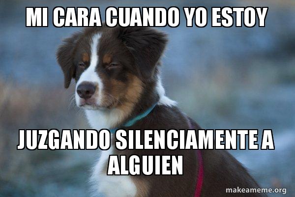 mi cara cuando yo estoy juzgando silenciamente a alguien - Unsure Dog ...