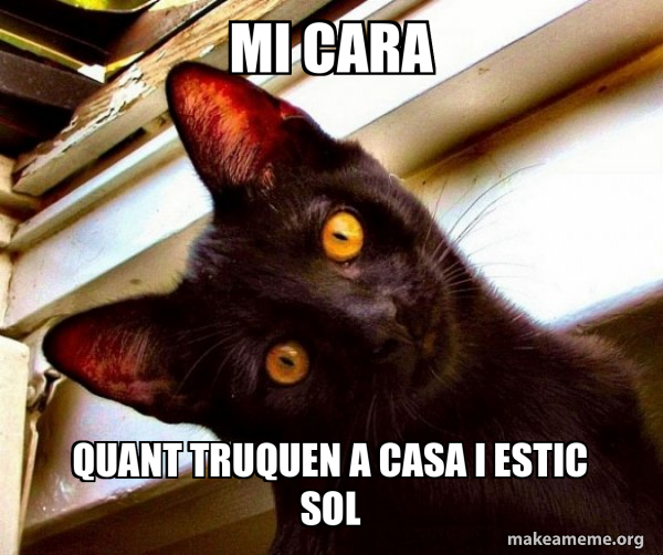 mi cara quant truquen a casa i estic sol - Overly Attached Cat Meme ...