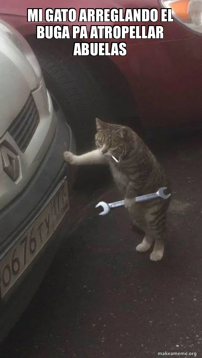 mi gato arreglando el buga pa atropellar abuelas - Mechanic Cat Meme ...