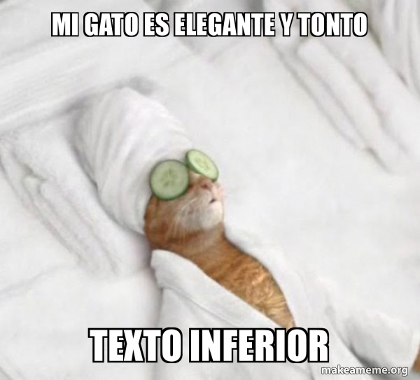 Gato Elegante Memes