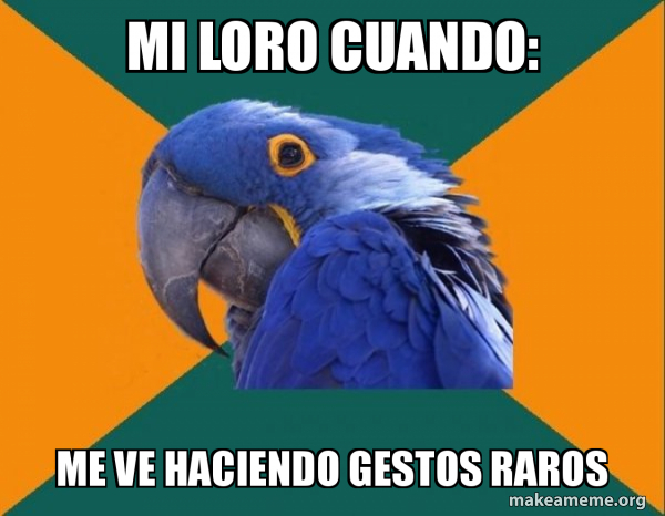 mi loro cuando: me ve haciendo gestos raros - Paranoid Parrot Meme ...