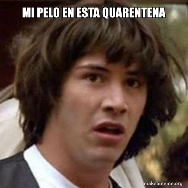 mi pelo en esta quarentena - Conspiracy Keanu Meme Generator