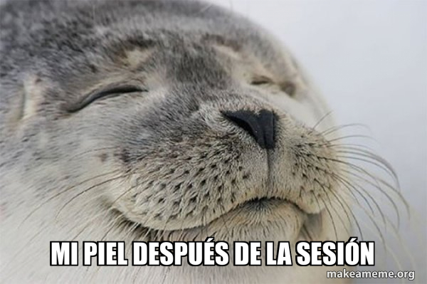 mi piel después de la sesión - Satisfied Seal Meme Generator
