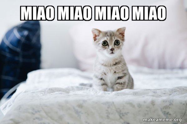 Miao miao miao miao - Cute Kitten Meme Generator