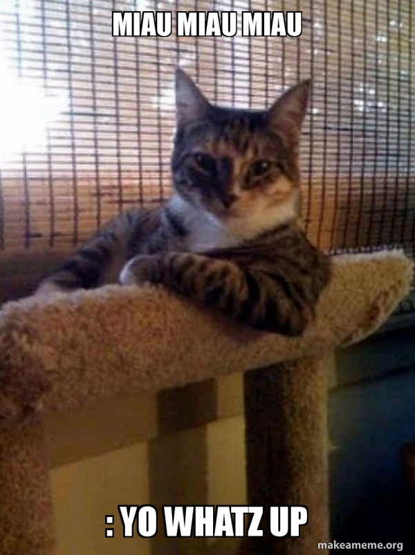 Miau Miau Miau : Yo whatz up - The Most Interesting Cat in the World ...