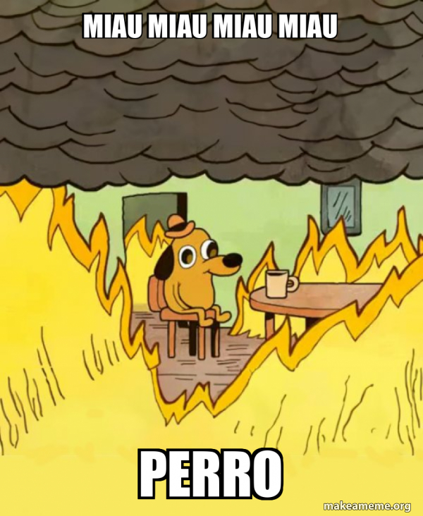 Miau miau miau miau Perro - This Is Fine Meme Generator