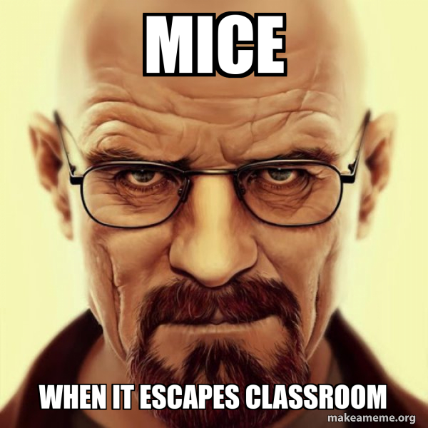 Mice When it escapes classroom - Walter White Breaking Bad | Make a Meme
