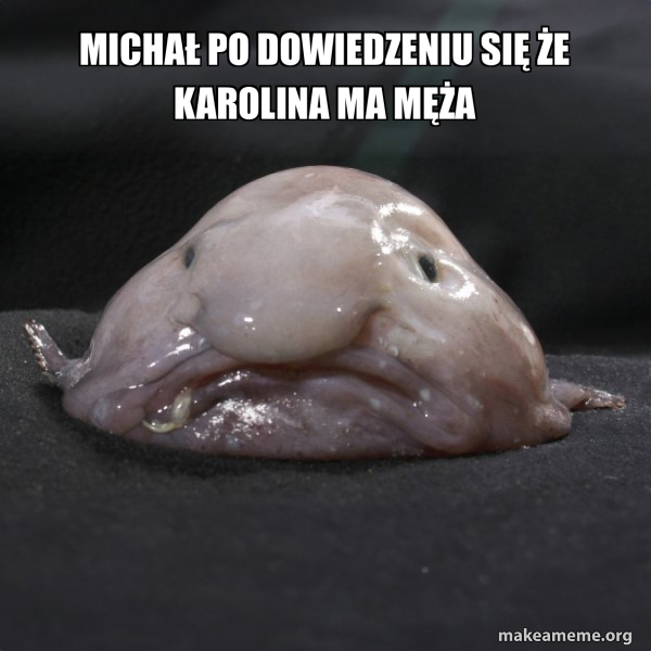 michał po dowiedzeniu się że karolina ma męża - Blobfish Meme Generator