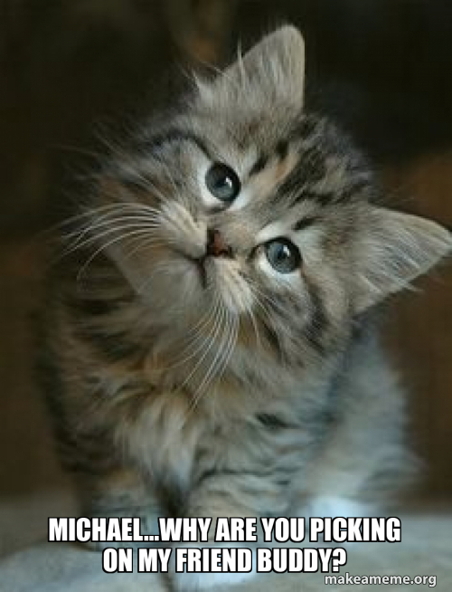 Michael...Why are you picking on my friend Buddy? Meme Generator