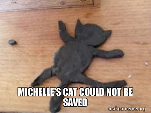 Michelle's cat could not be saved Meme Generator