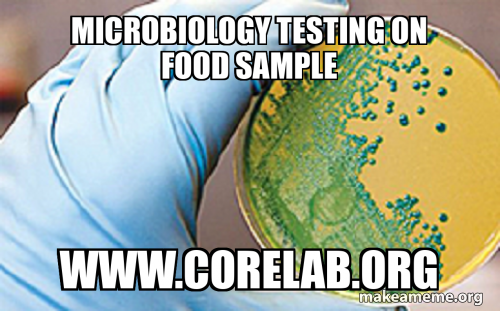 Microbiology Testing on Food Sample www.corelab.org Meme Generator