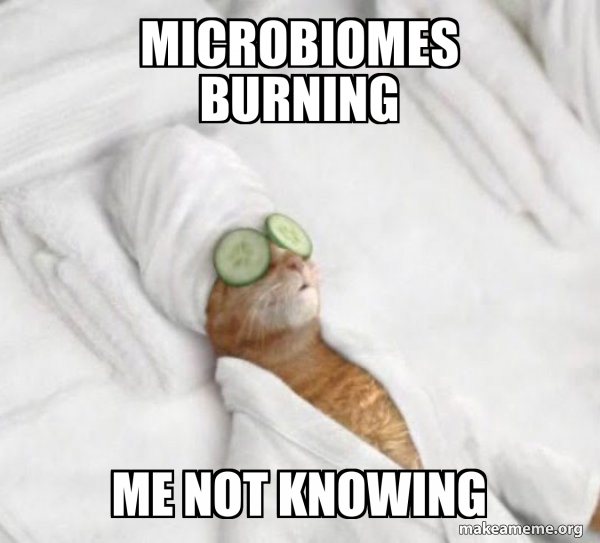 microbiomes burning me not knowing - Pampered Cat Meme Meme Generator