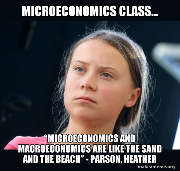 Economics Class Memes Ecoholics For Economics | Online Economics