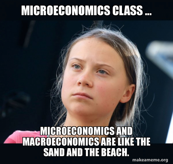 Microeconomics Memes Economics GIFs | Tenor