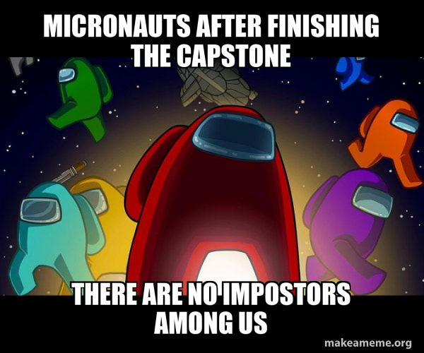 Micronauts after finishing the capstone There are no impostors among us ...