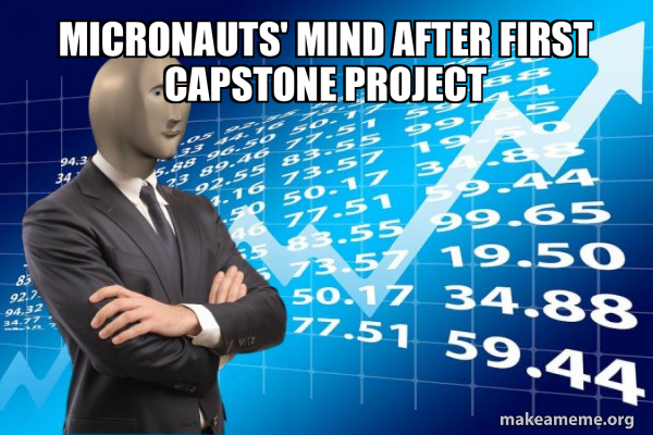 Micronauts' mind after first capstone project - Stonks Only Go Up Meme ...
