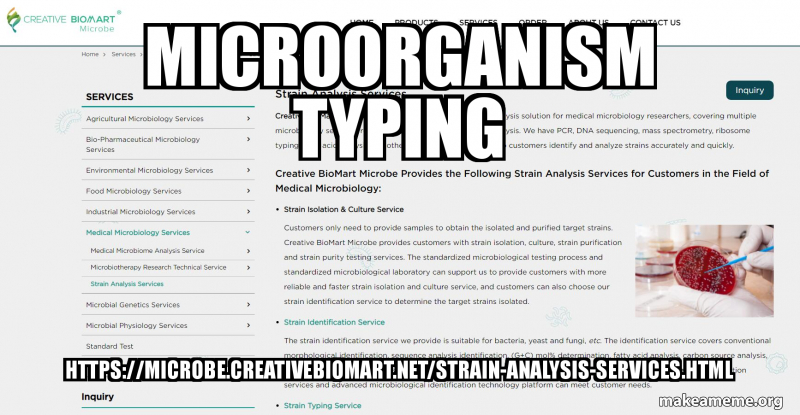 Microorganism typing https://microbe.creativebiomart.net/strain ...
