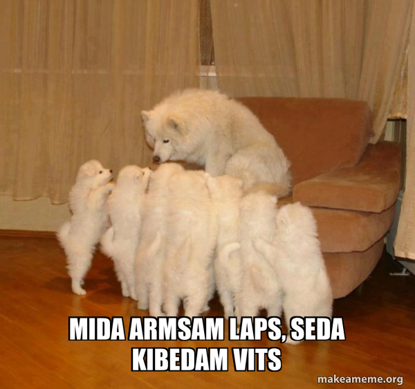 Mida armsam laps, seda kibedam vits - Storytelling Dog Meme Generator