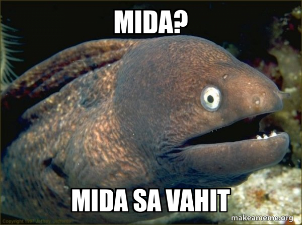 mida? mida sa vahit - Bad Joke Eel Meme Generator