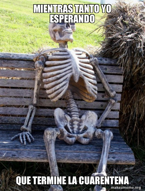 Mientras tanto yo esperando Que termine la cuarentena - Waiting ...