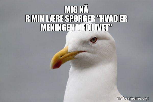 Mig nÃ¥r min lÃ¦re spÃ¸rger "hvad er meningen med livet" - Stuff That ...