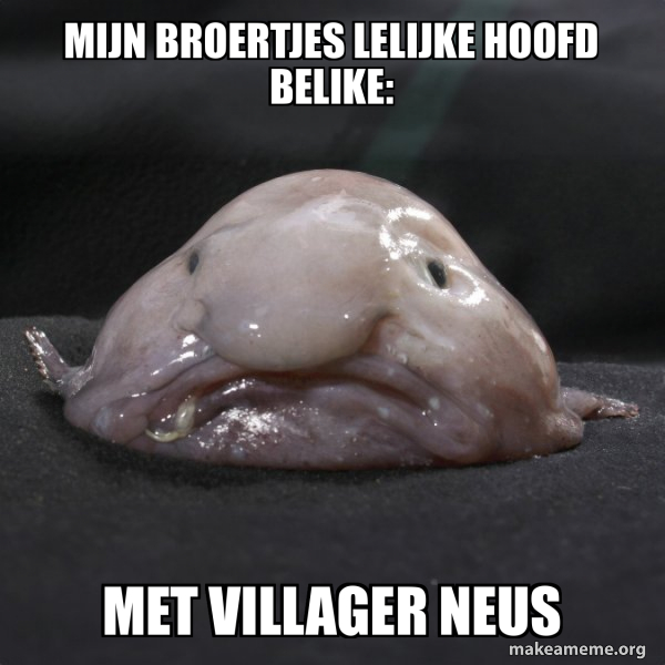 mijn broertjes lelijke hoofd belike: met villager neus - Blobfish Meme ...