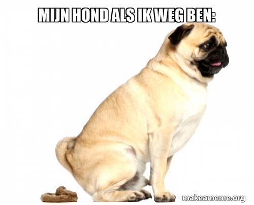 mijn hond als ik weg ben: Meme Generator