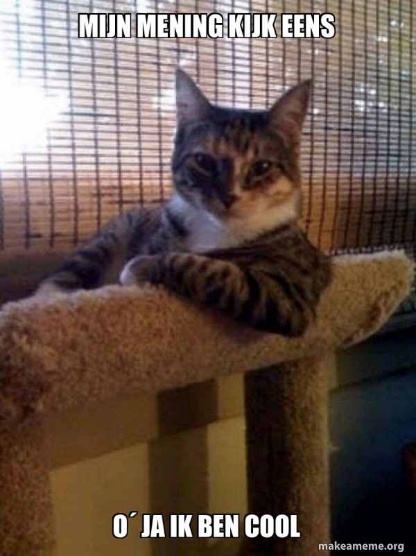 mijn mening kijk eens o´ ja ik ben cool - The Most Interesting Cat in ...