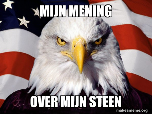 Mijn mening over mijn steen - American Pride Eagle Meme Generator