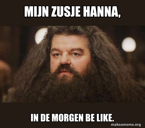mijn zusje hanna, in de morgen be like. - Hagrid - I should not have ...