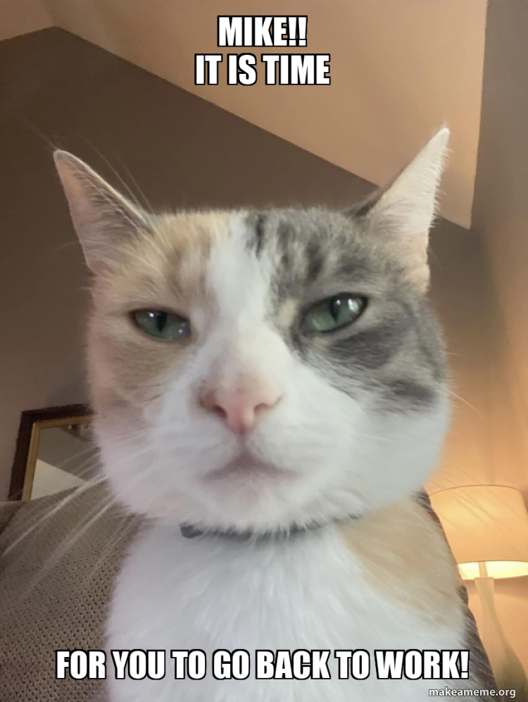 MIKE!! It is time For you to go back to work! Meme Generator