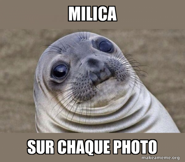 Milica Sur chaque photo - Squeamish Seal Meme Generator