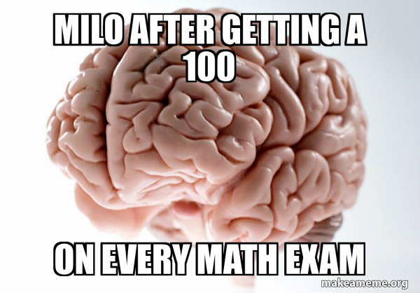 milo after getting a 100 on every math exam - Scumbag Brain Meme Generator