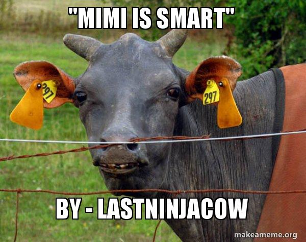 "Mimi is smart" By - LastNinjaCow - Hairless Cow Meme Generator